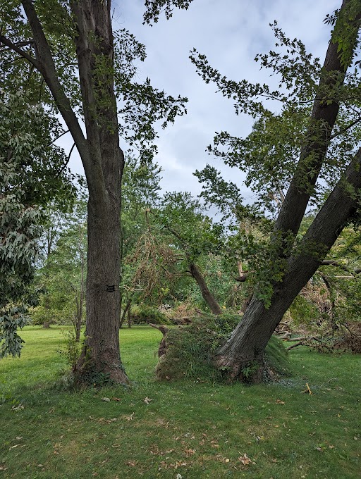 Rooted and Grounded in Faith and Action - Lyndhurst Community of Faith ...